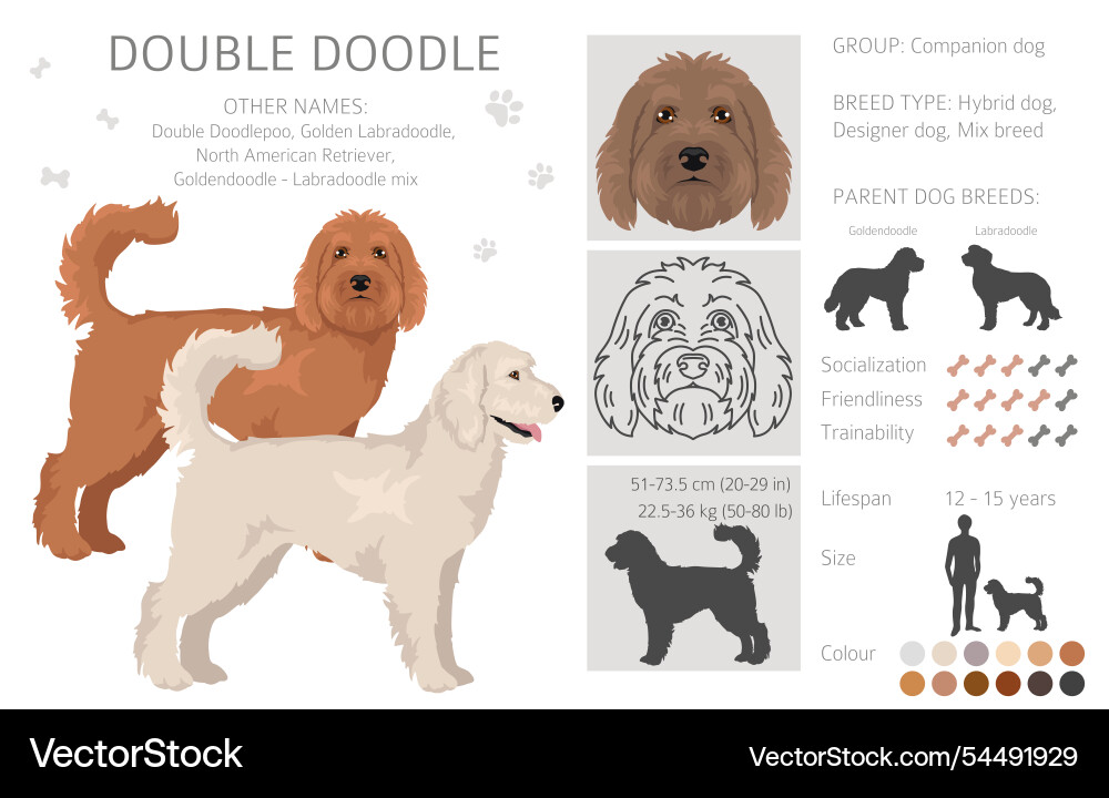Adorable Doodle Mix Clip Art Royalty Free Vector Image
