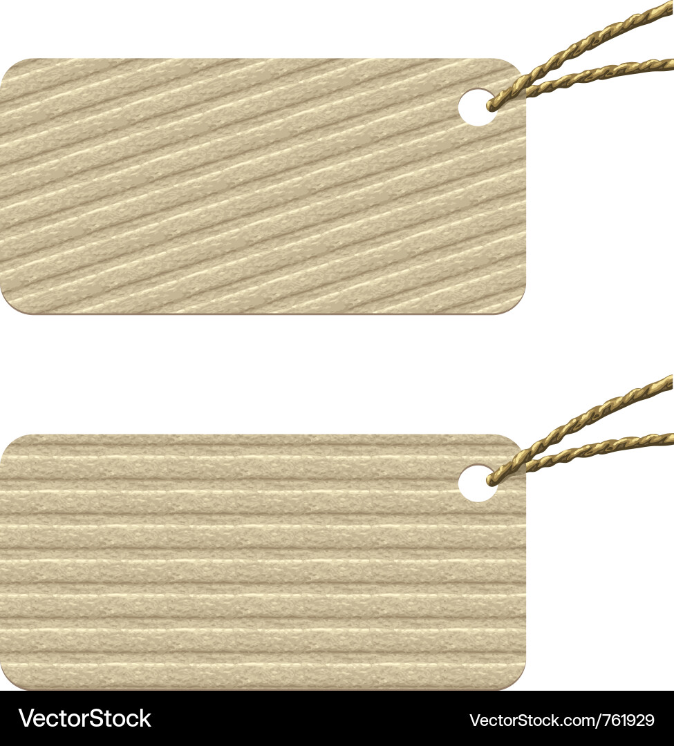Cardboard Tag with Rope Royalty Free Vector Image