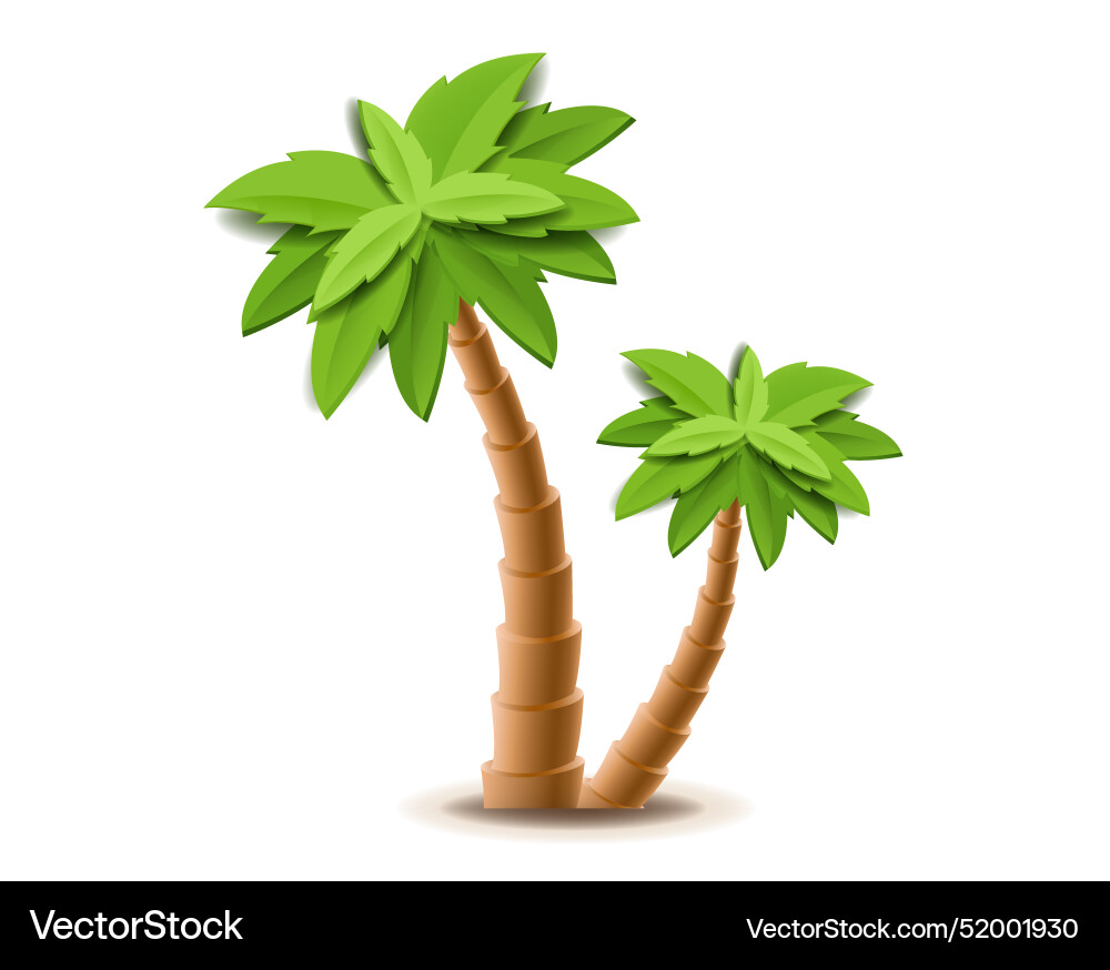Two palm tree isolated white background Royalty Free Vector