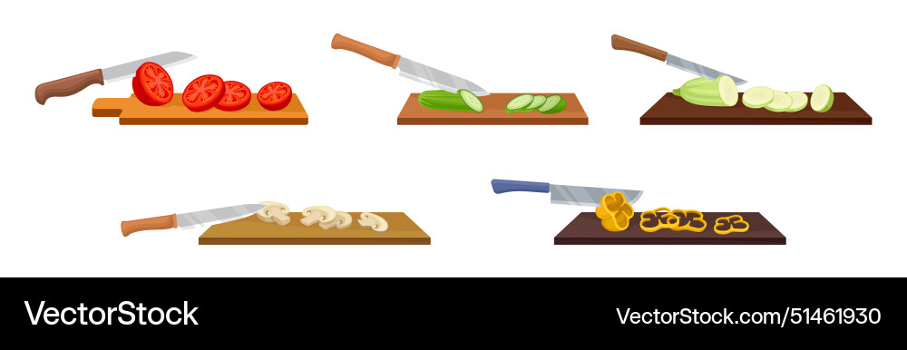 Vegetables cut with knife metal blade process Vector Image