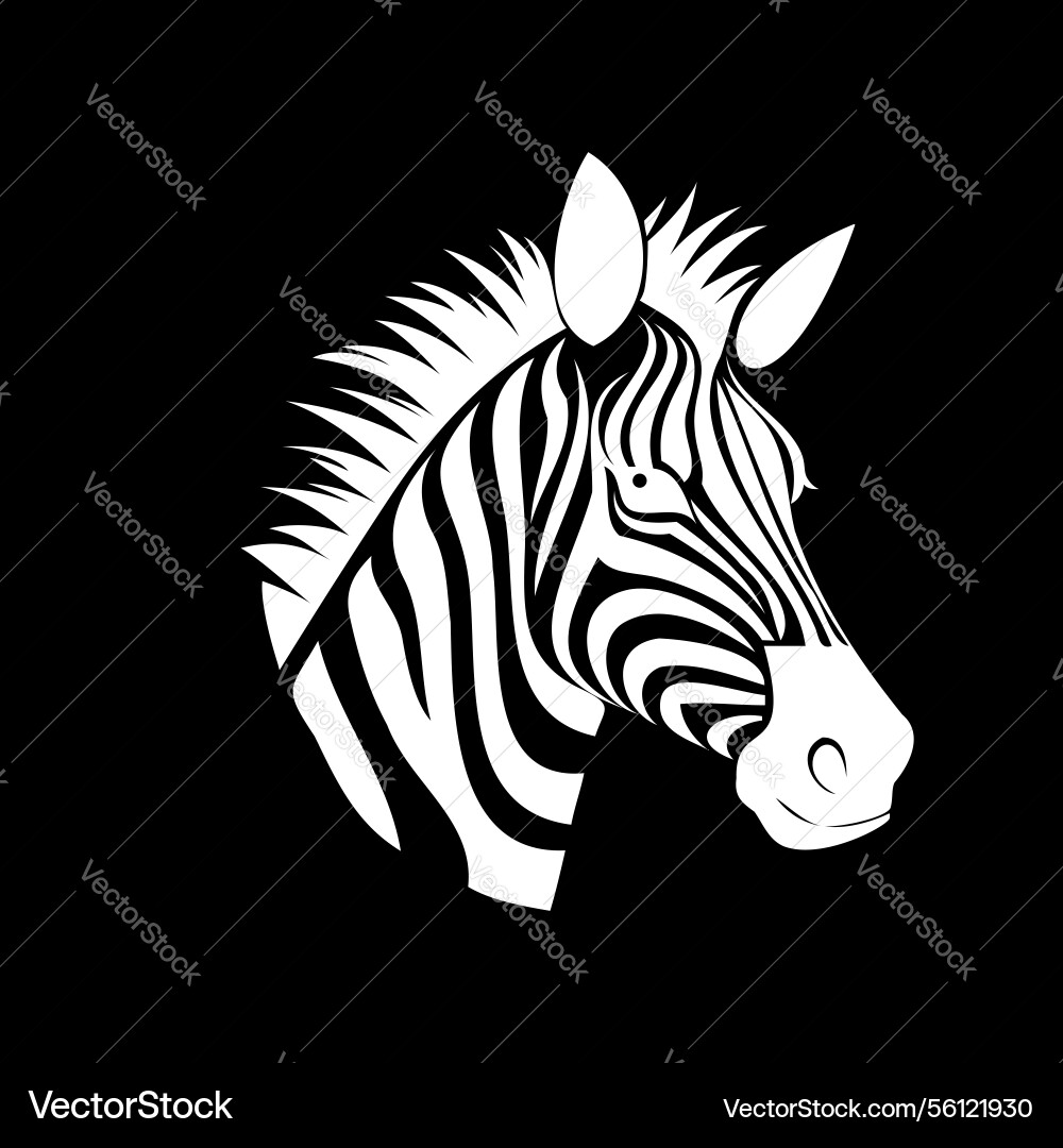 Zebra head Royalty Free Vector Image - VectorStock