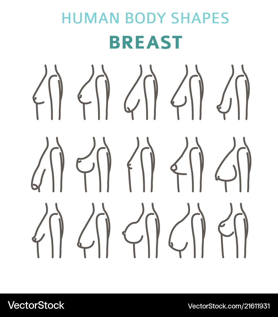 Human Body Shapes Woman Breast Form Set Royalty Free Vector