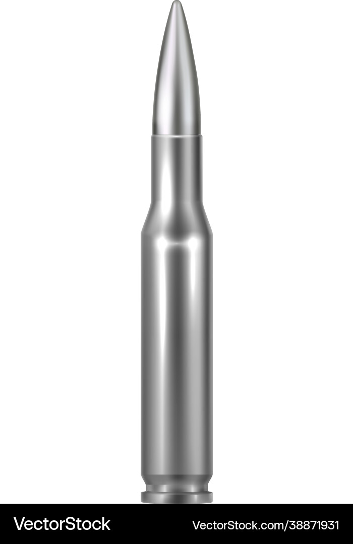 Realistic rifle bullet Royalty Free Vector Image