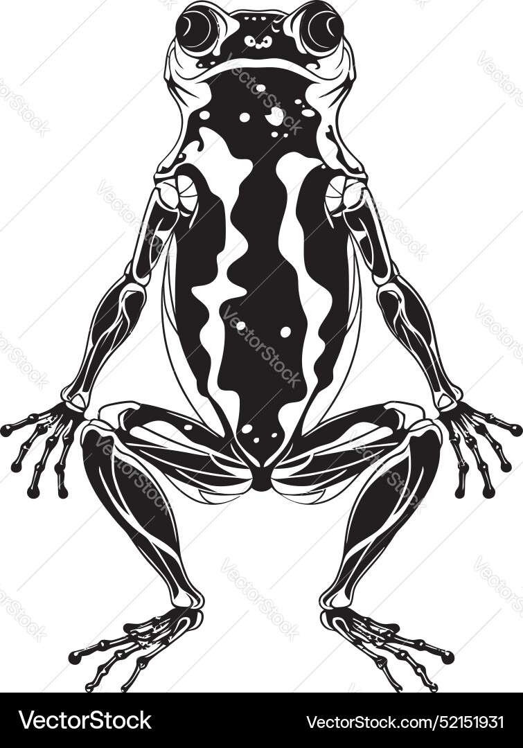 Spectral skeletal symphony frog skeleton emblem Vector Image