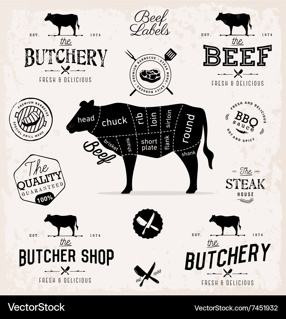 Beef cuts diagram and butchery design elements Vector Image