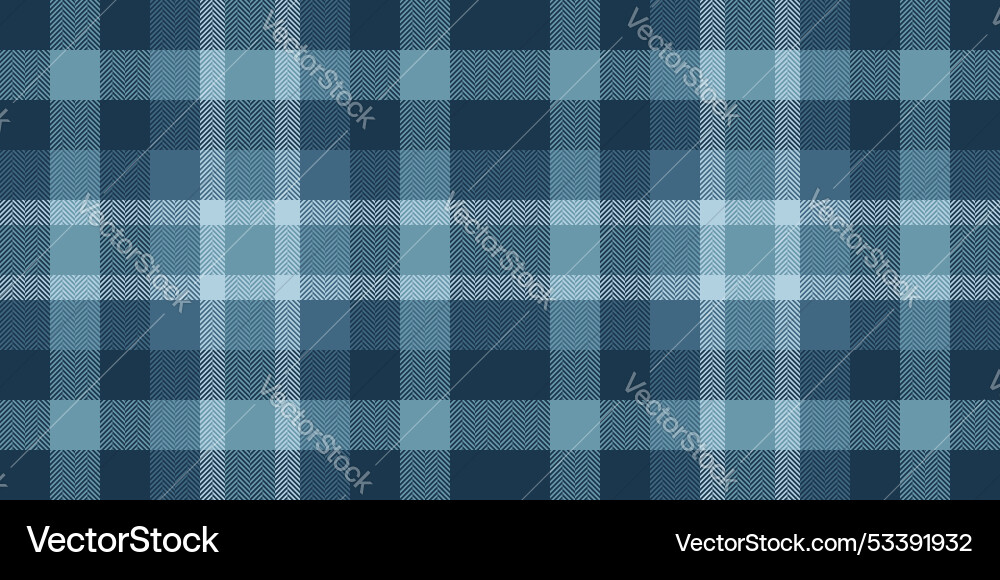 Designer textile pattern tartan jacket check Vector Image