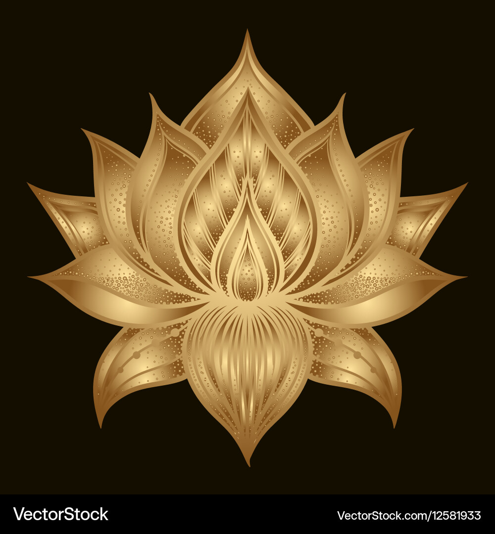 Pattern with lotus flowers hand drawn Royalty Free Vector