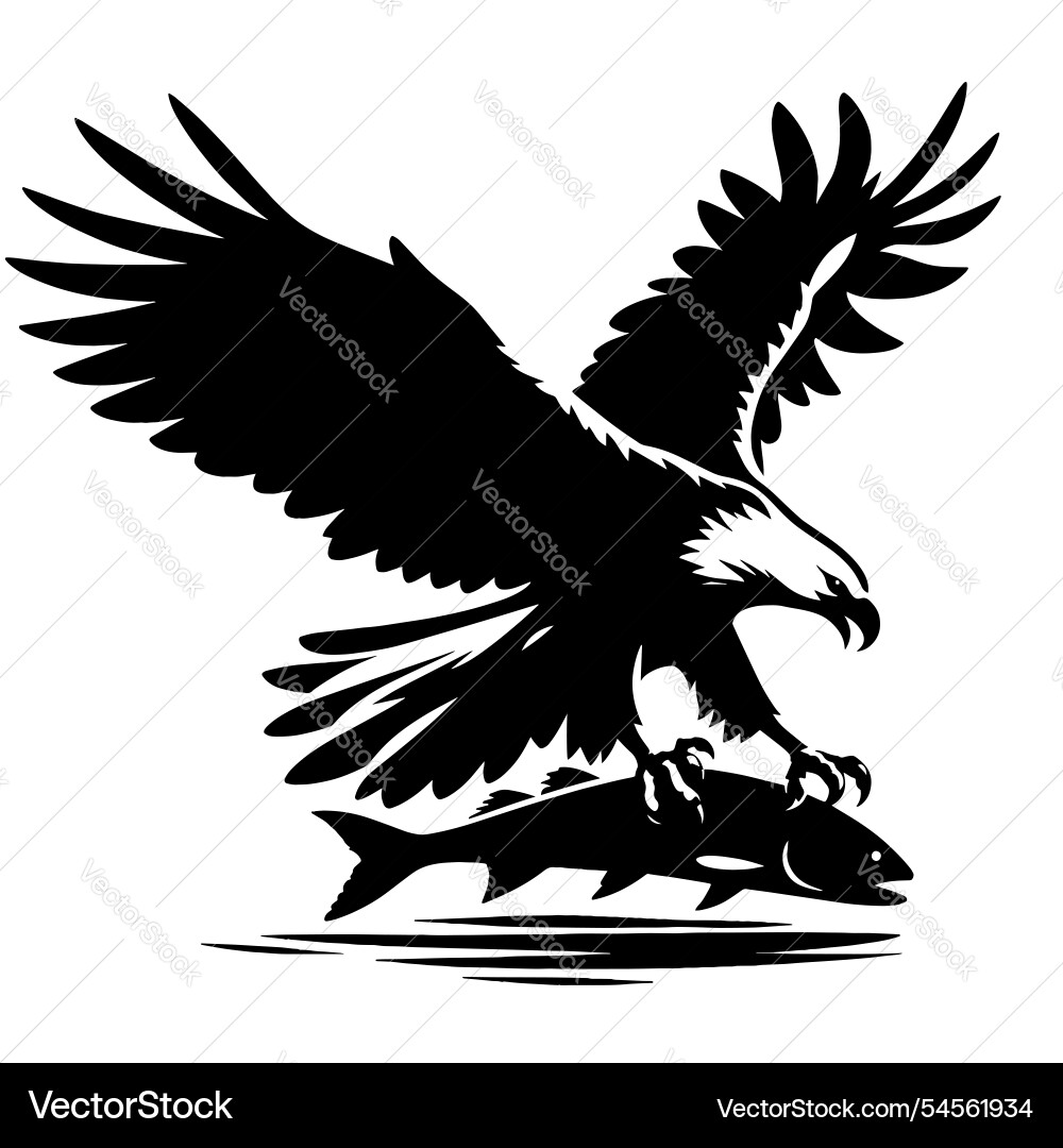 Eagle in Flight - Catching Fish Royalty Free Vector Image