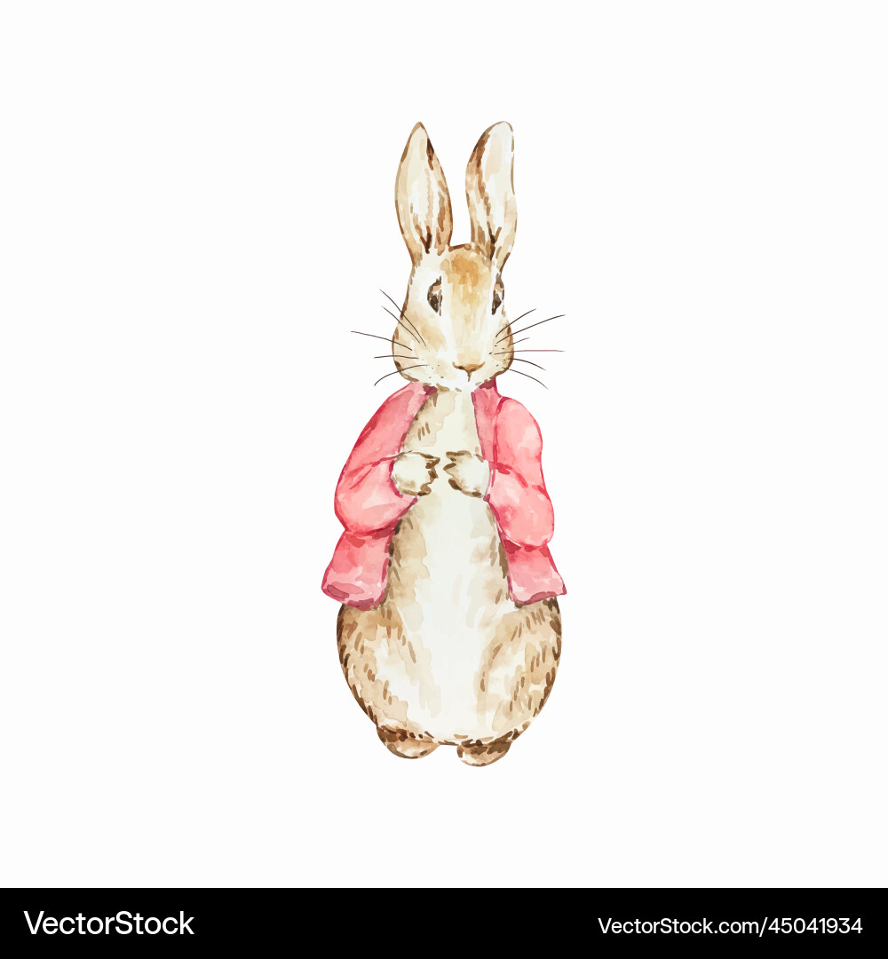 Watercolor peter rabbit in red jacket Royalty Free Vector