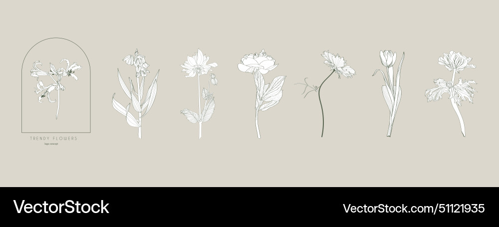 Wedding logo botanical rustic trendy flowers Vector Image