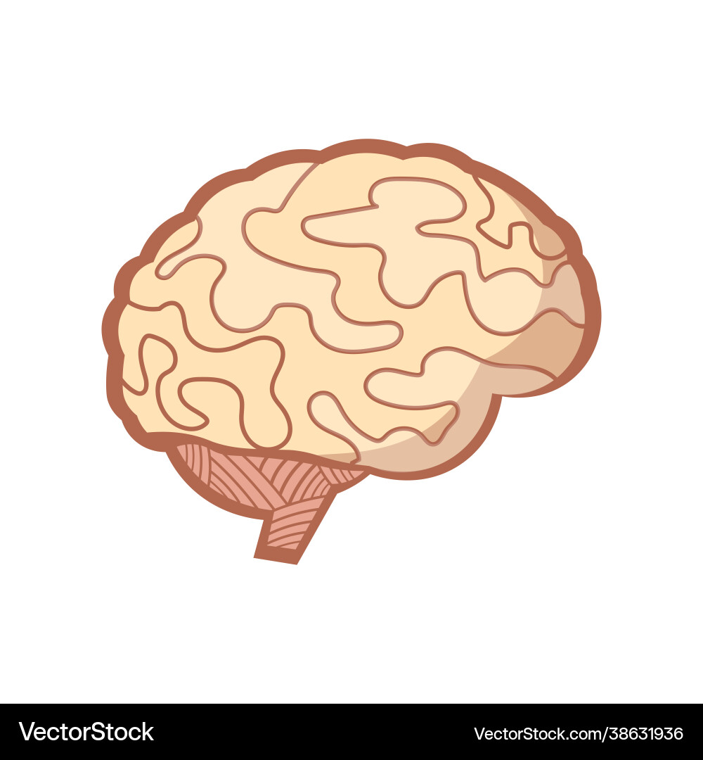 Brain clipart isolated simple flat Royalty Free Vector Image