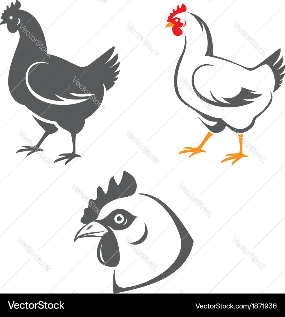 Chicken Head Vector Images (over 8,900)