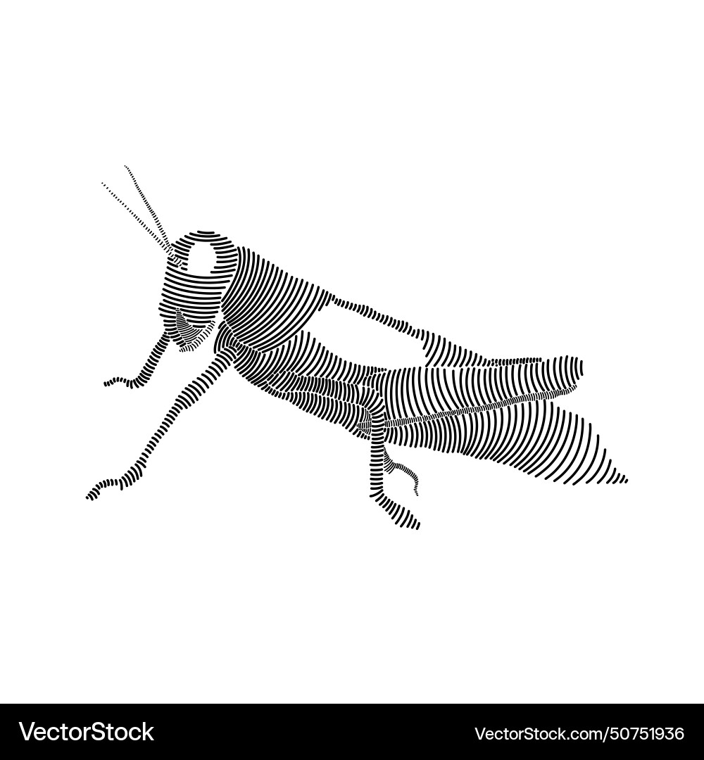 Simple line art of a grasshopper 3 Royalty Free Vector Image