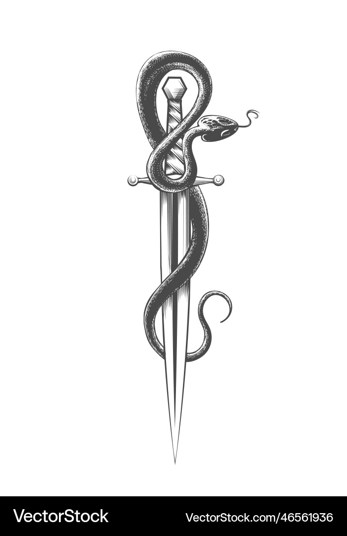 Snake & Sword Engraving Royalty Free Vector Image
