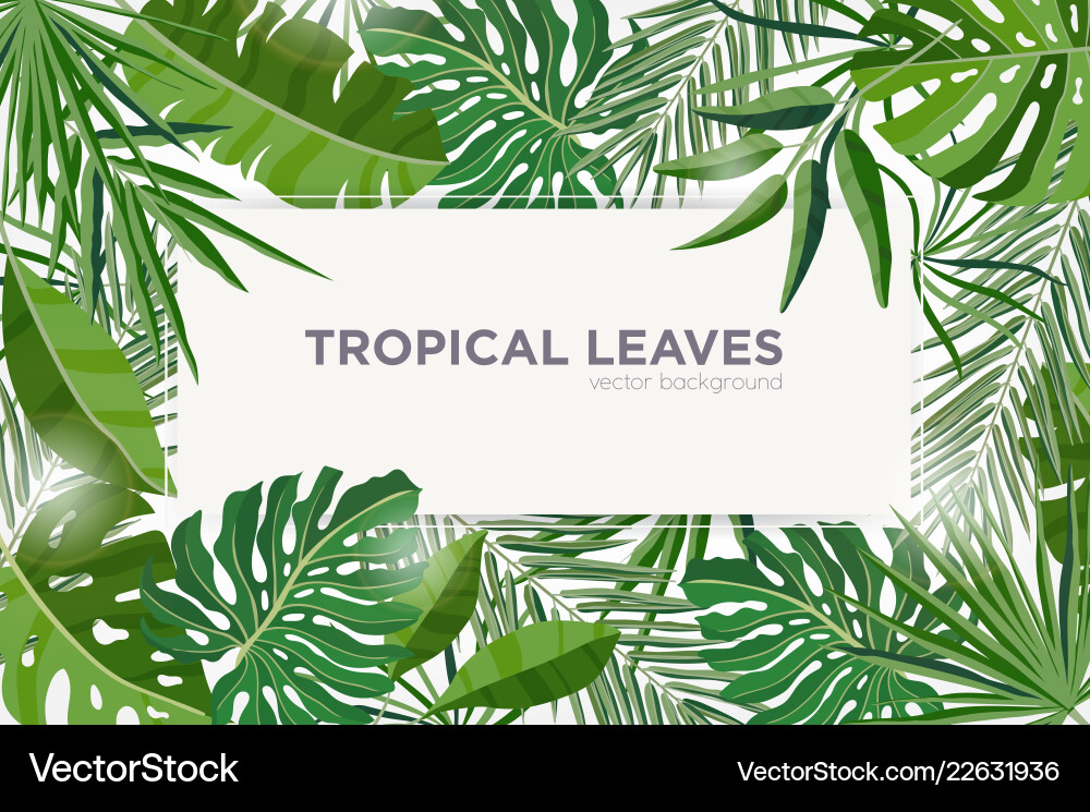 Tropical Green Leaf Background Royalty Free Vector Image