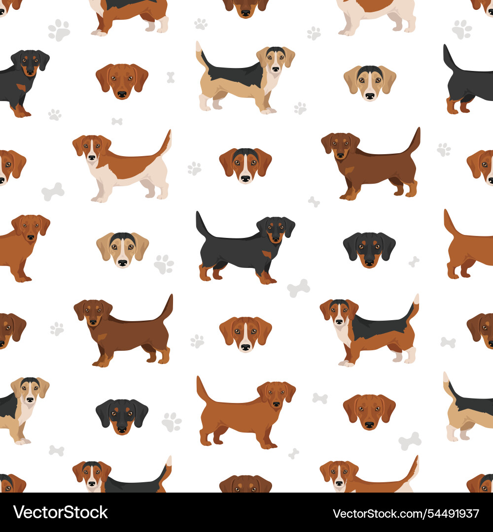 Doxle seamless pattern dachshund - beagle mix Vector Image