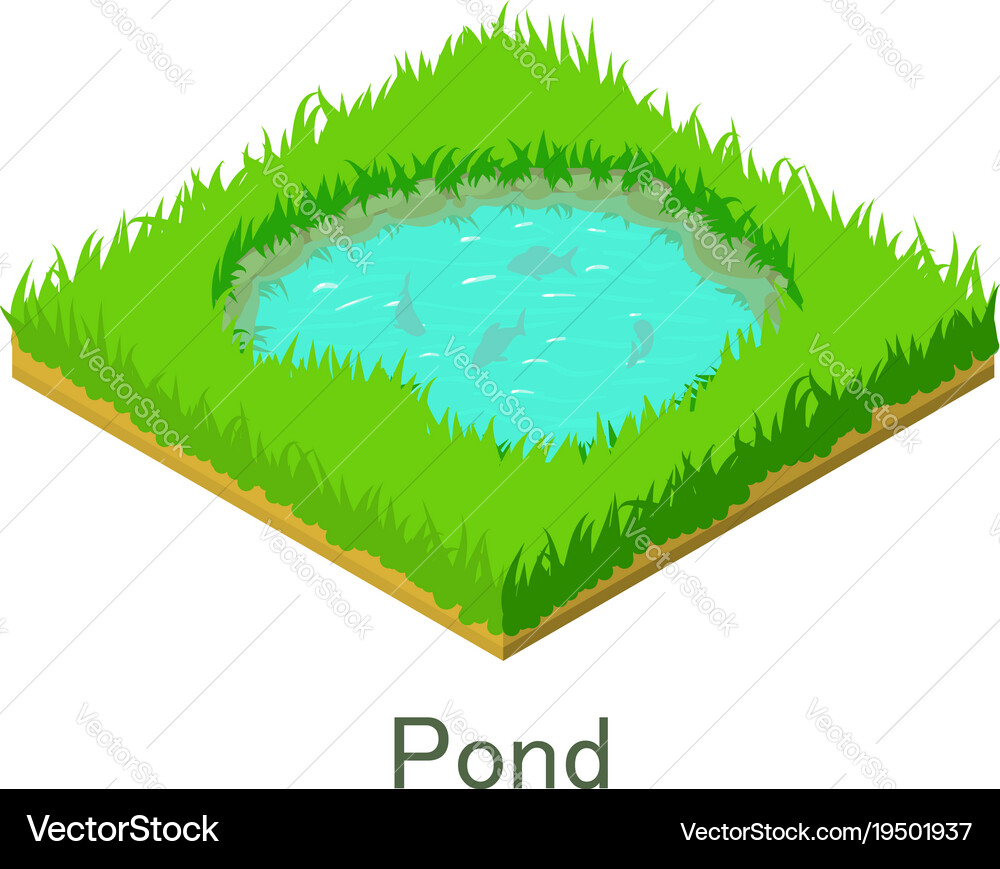 Pond icon isometric style Royalty Free Vector Image