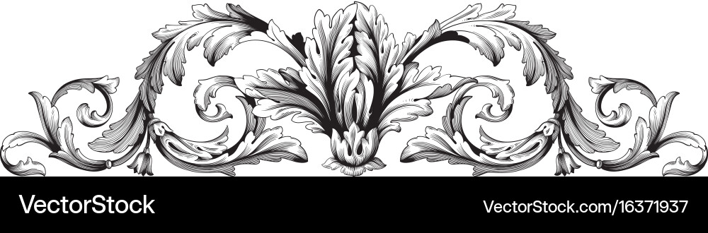 Vintage baroque ornament Royalty Free Vector Image