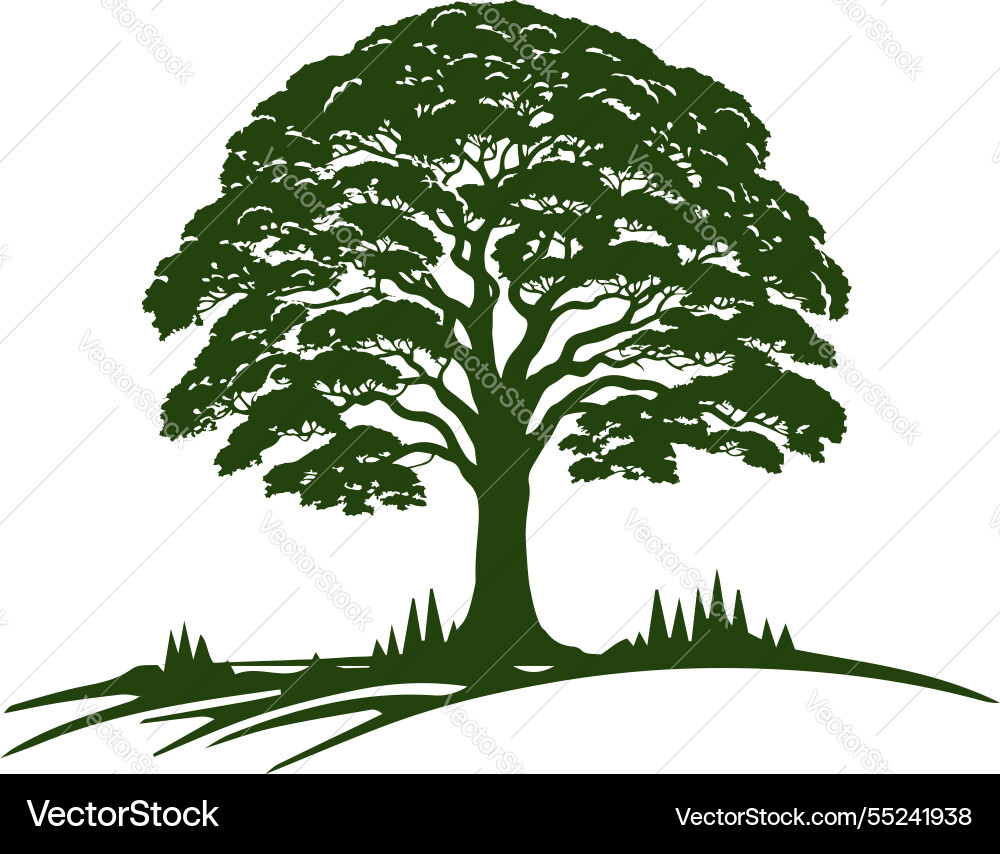 Oak tree silhouette Royalty Free Vector Image - VectorStock