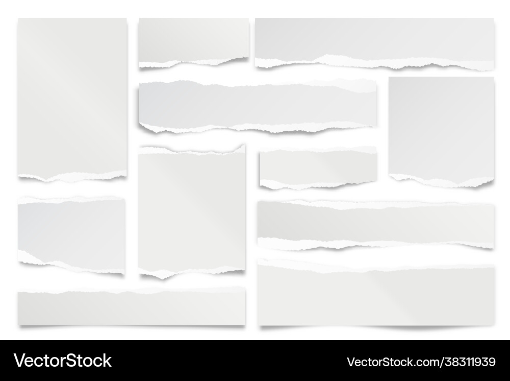 Ripped paper strips isolated on white background Vector Image
