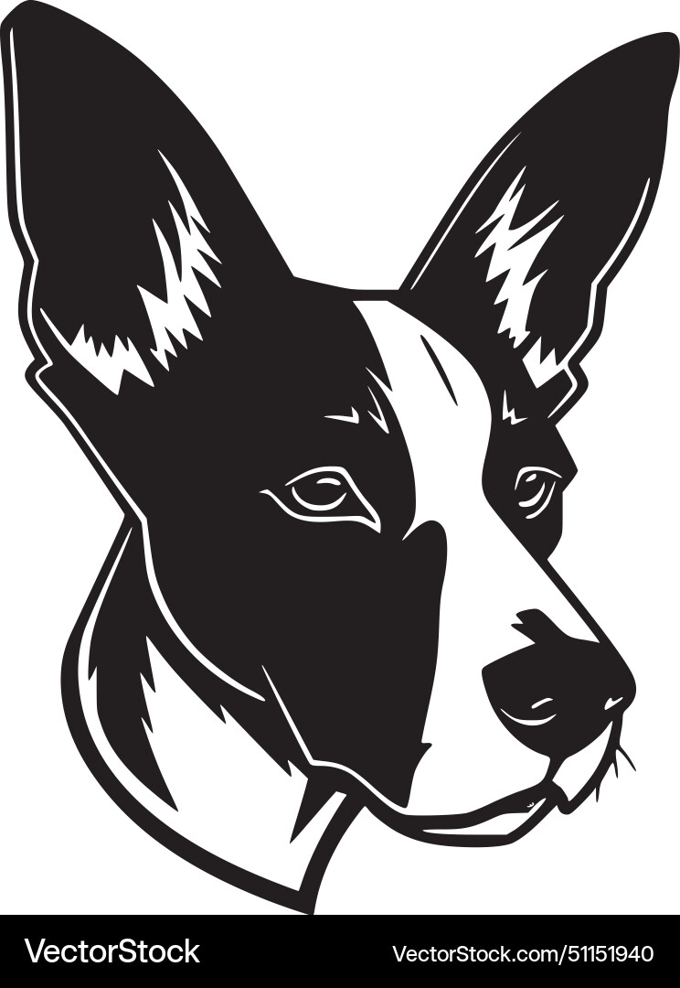 Basenji - black and white Royalty Free Vector Image