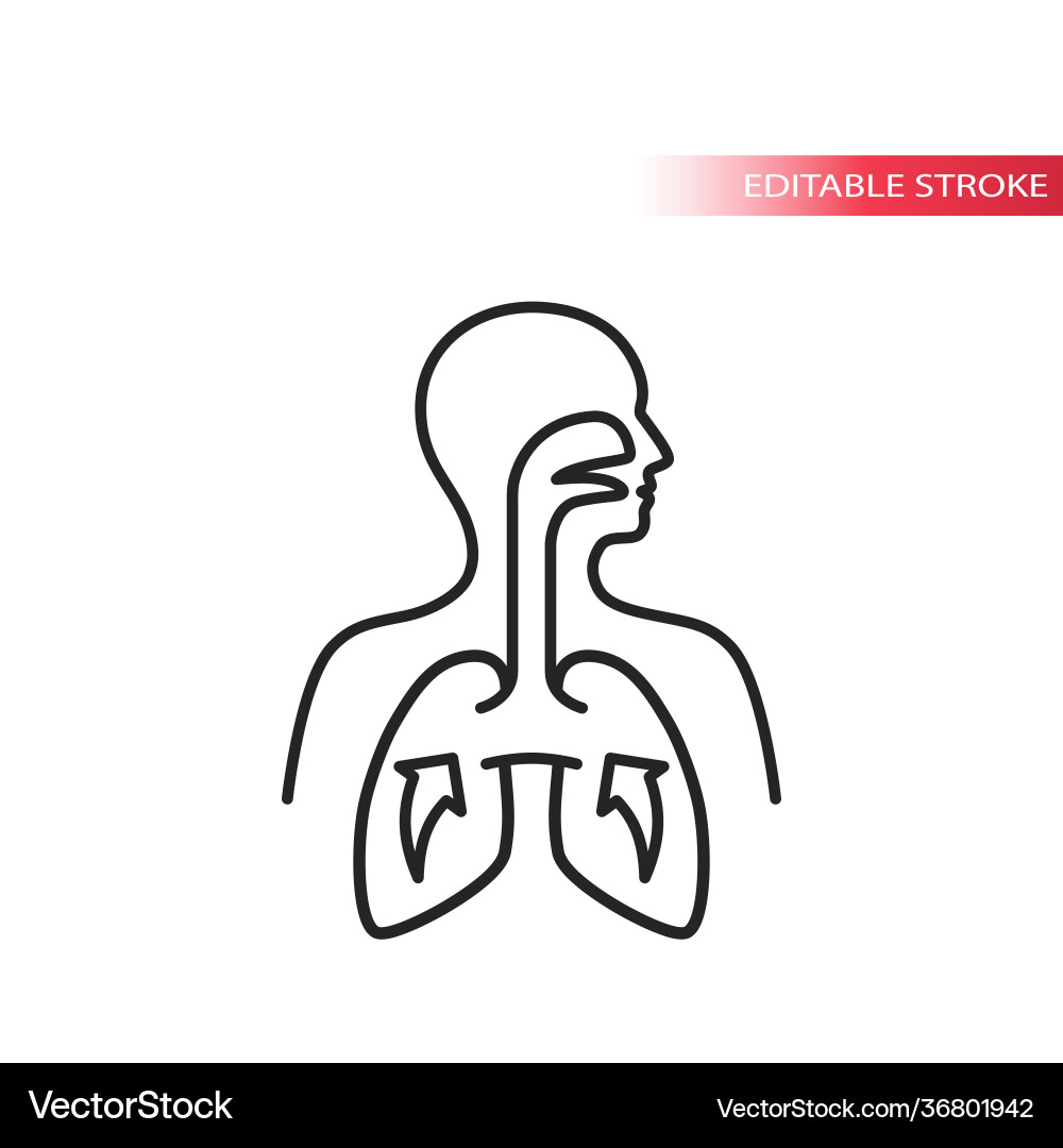 Respiratory system symbol Royalty Free Vector Image