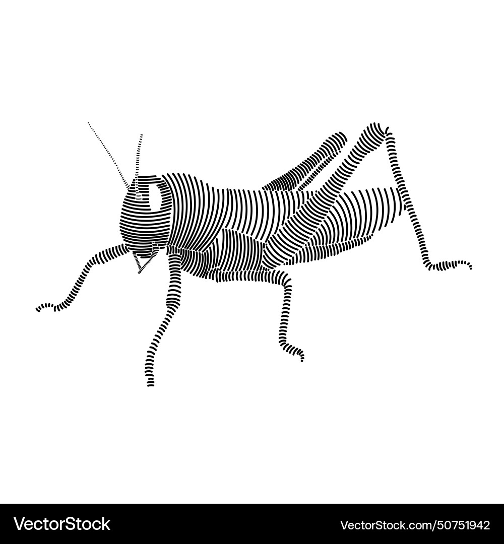 Simple line art of a grasshopper 2 Royalty Free Vector Image