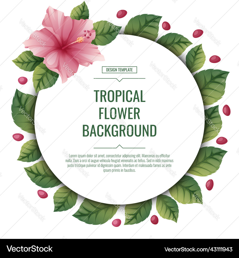 Round tropical background with pink hibiscus Vector Image