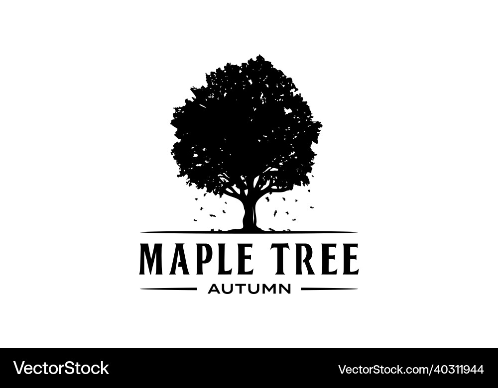 Autumn maple tree logo of life design Royalty Free Vector