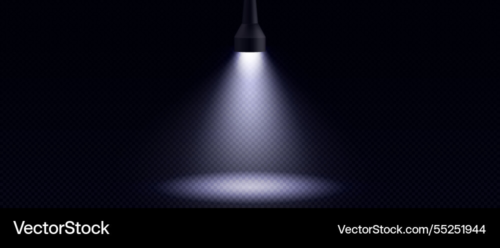 Flashlight beam creating searchlight effect Vector Image
