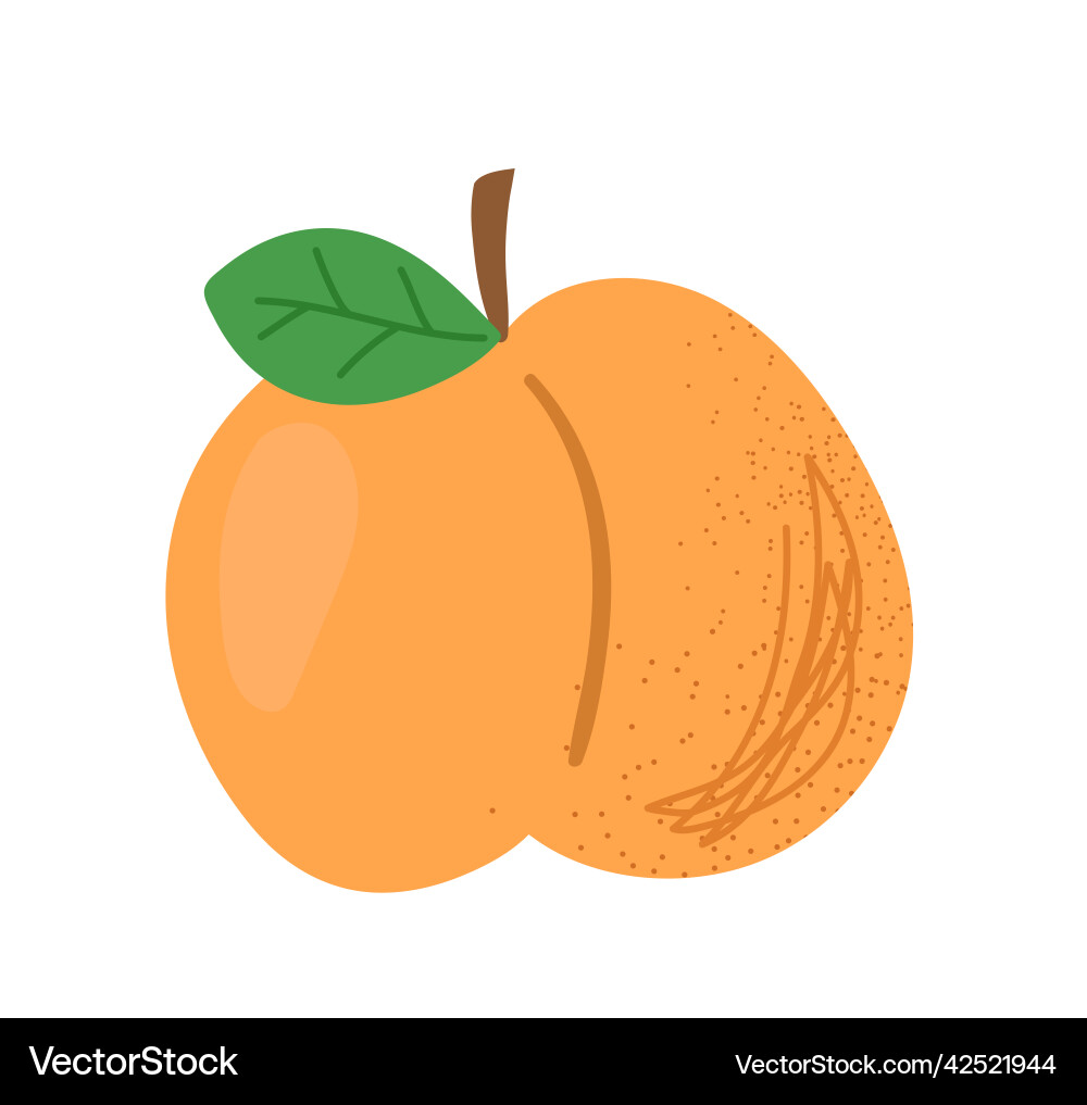 Ripe Peach Sticker Royalty Free Vector Image - VectorStock