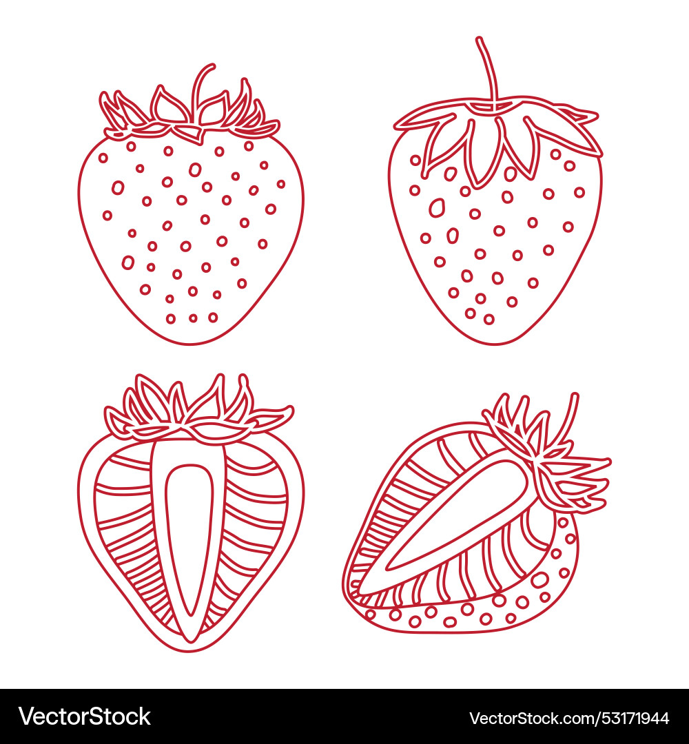 Strawberry drawing hand drawn botanical set Vector Image