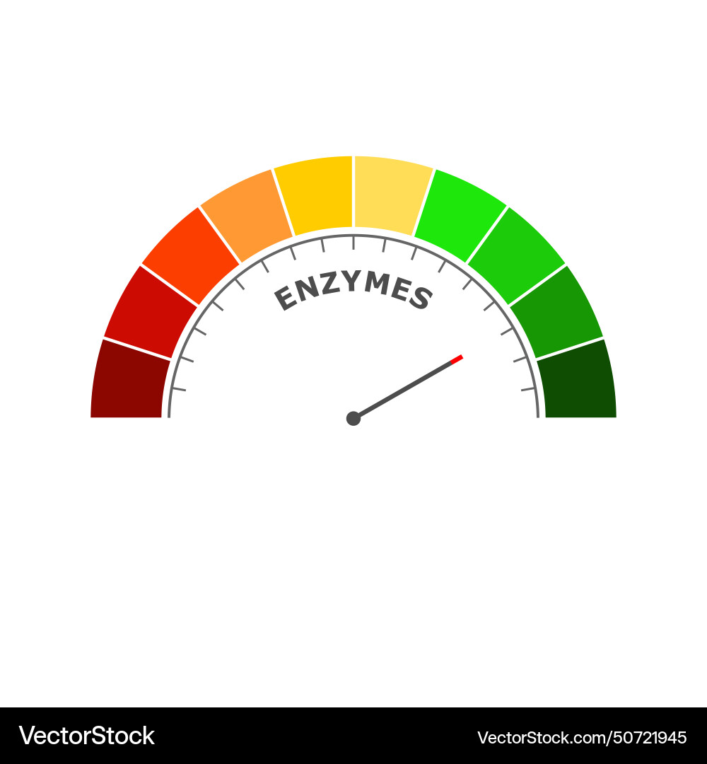Enzymes level on measure scale instrument Vector Image