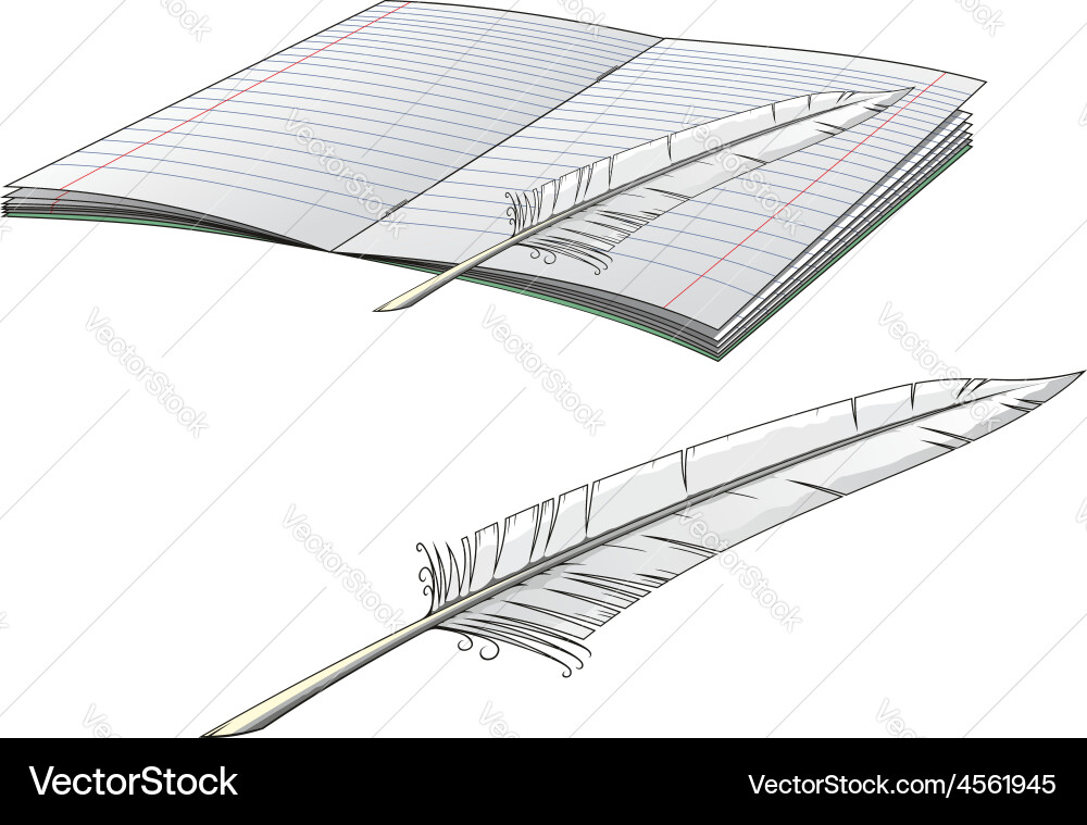 Writers plume pen with open book Royalty Free Vector Image