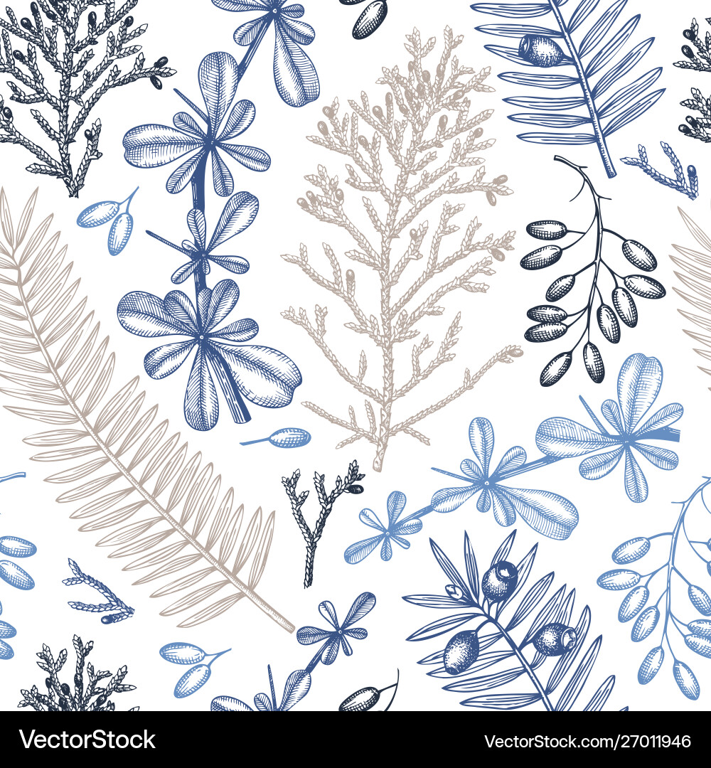 Evergreen trees seamless pattern vintage Vector Image