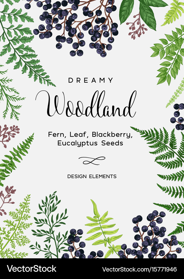 Blackberry Frame Vector Images (over 710)