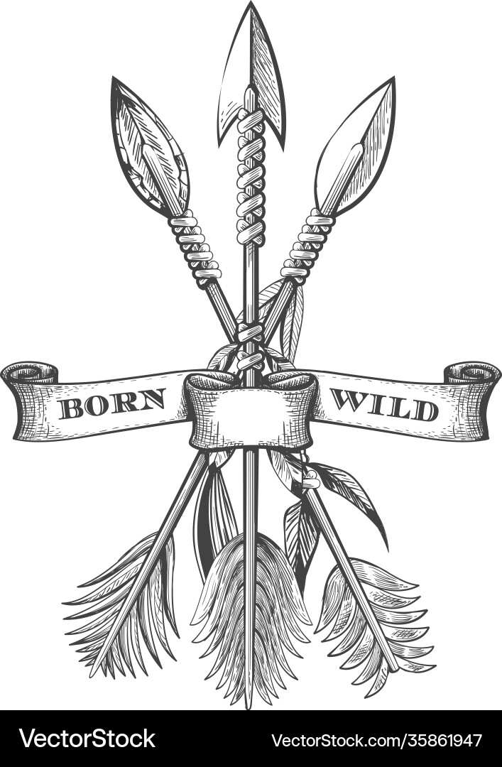 Hand drawn native americans arrows and wording Vector Image