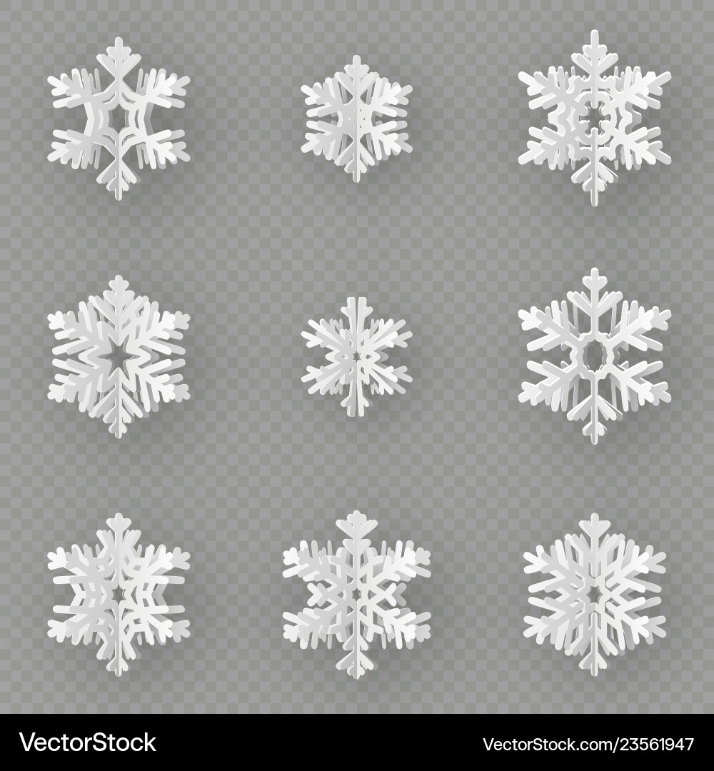 Set of nine different paper snowflake cut from Vector Image