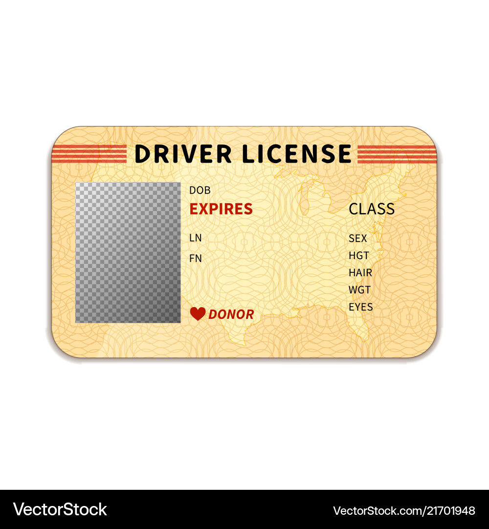 Realistic Driver's License Card Royalty Free Vector Image