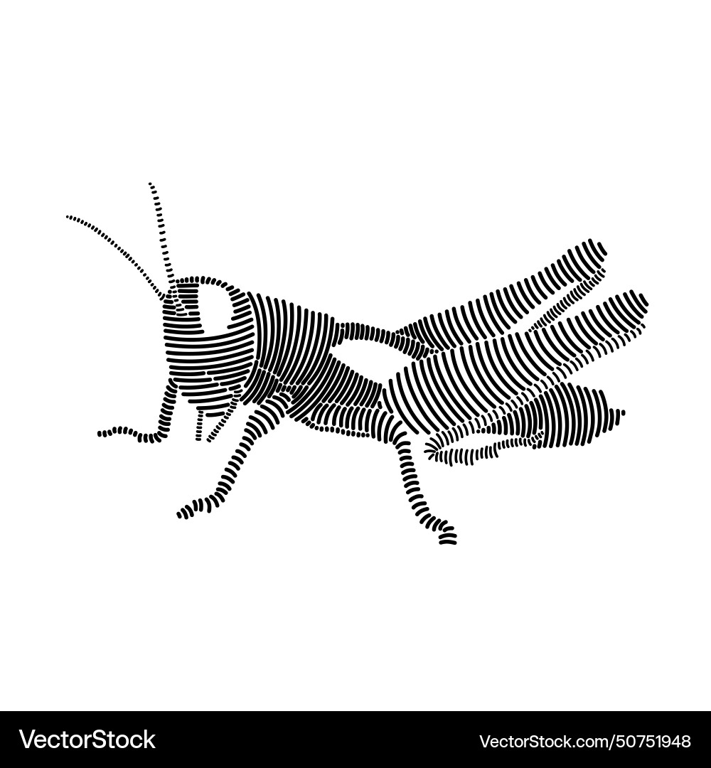 Simple line art of a grasshopper 1 Royalty Free Vector Image