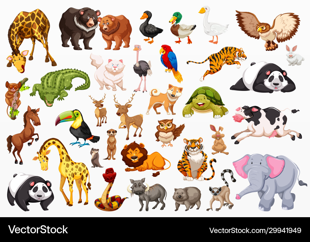 Cute Zoo Animals Vector Images (over 230,000)
