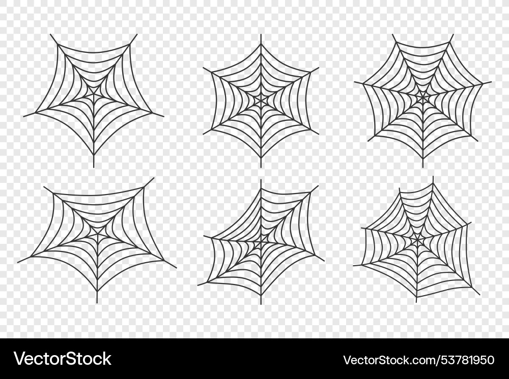 Spider web set of silhouettes Royalty Free Vector Image