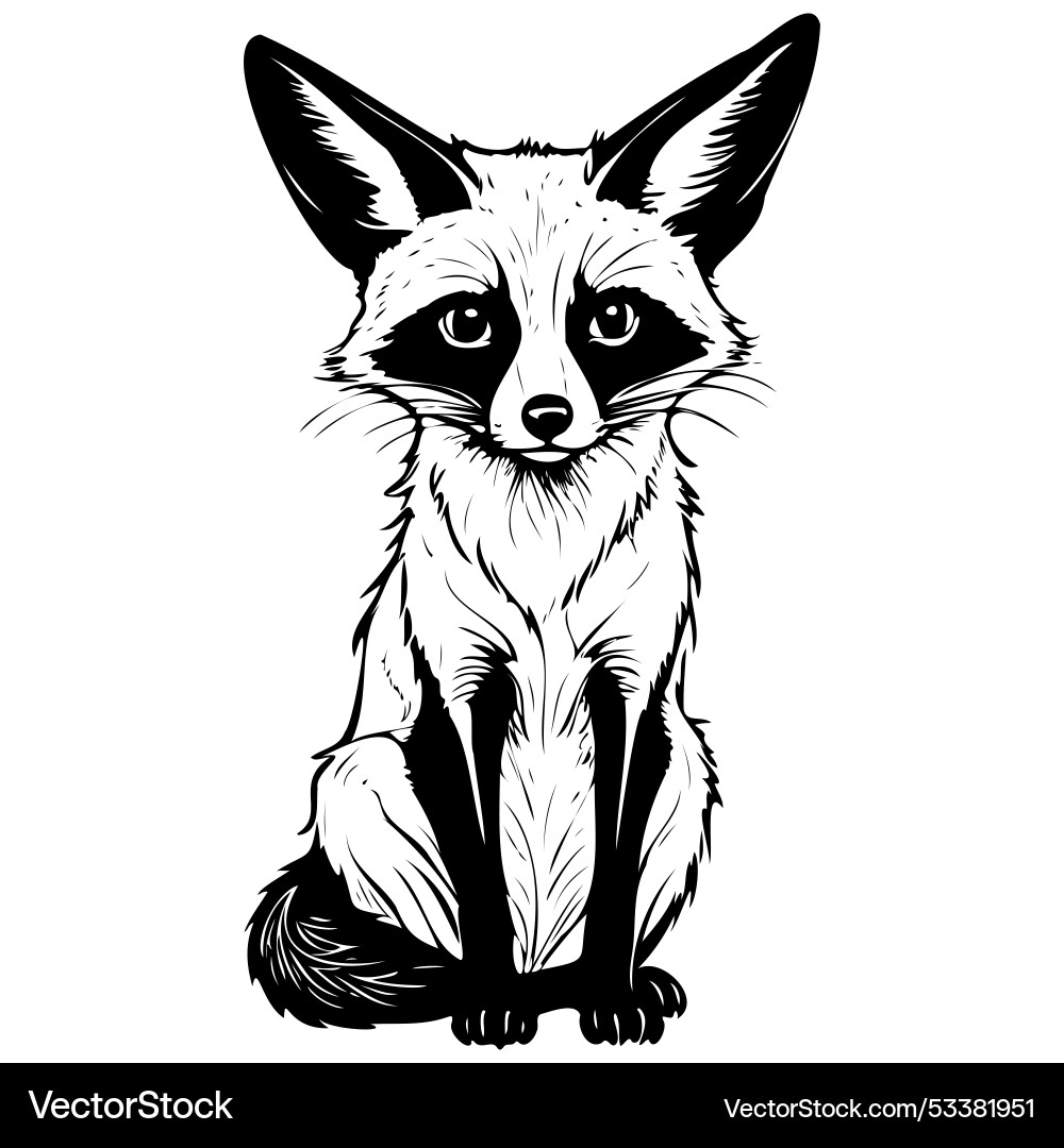 Isolated bat-eared fox sitting drawing animal Vector Image
