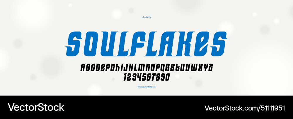 Modern luxury font italic elegant display Vector Image