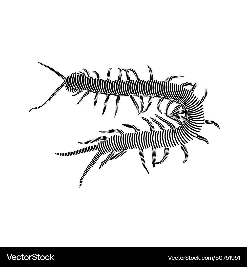 Simple line art of a centipede 3 Royalty Free Vector Image