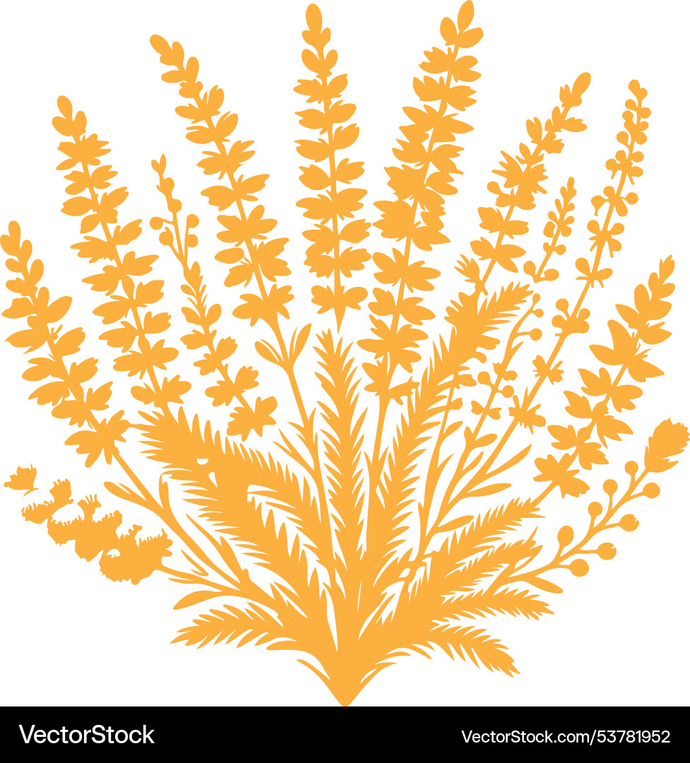 Heather flower art Royalty Free Vector Image - VectorStock