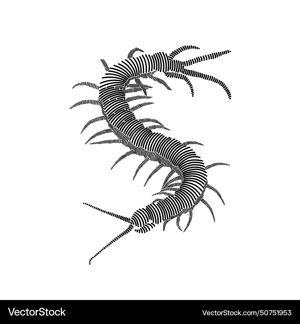 Simple line art of a centipede 2 Royalty Free Vector Image