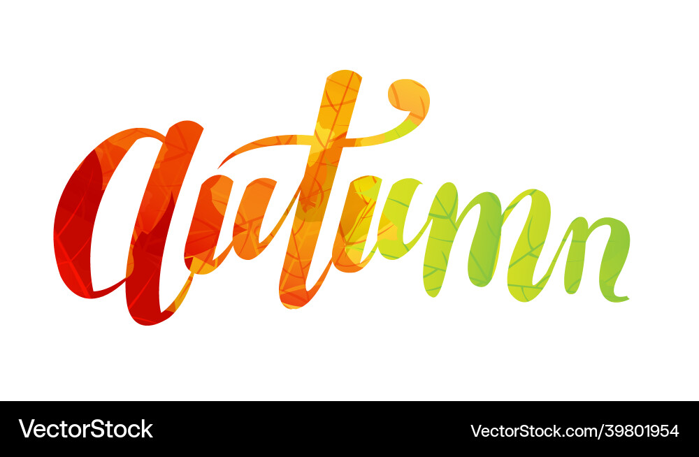 Autumn lettering text isolated white background Vector Image