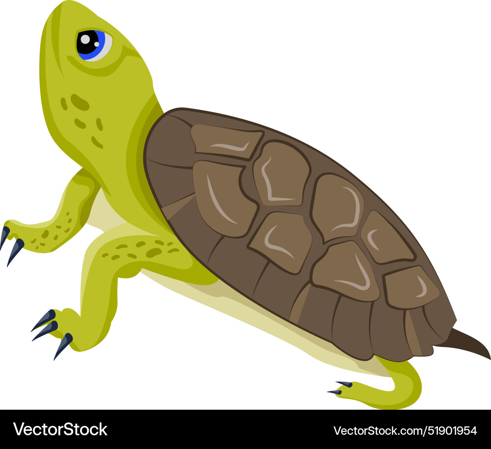 Weba flat style icon of testudines Royalty Free Vector Image