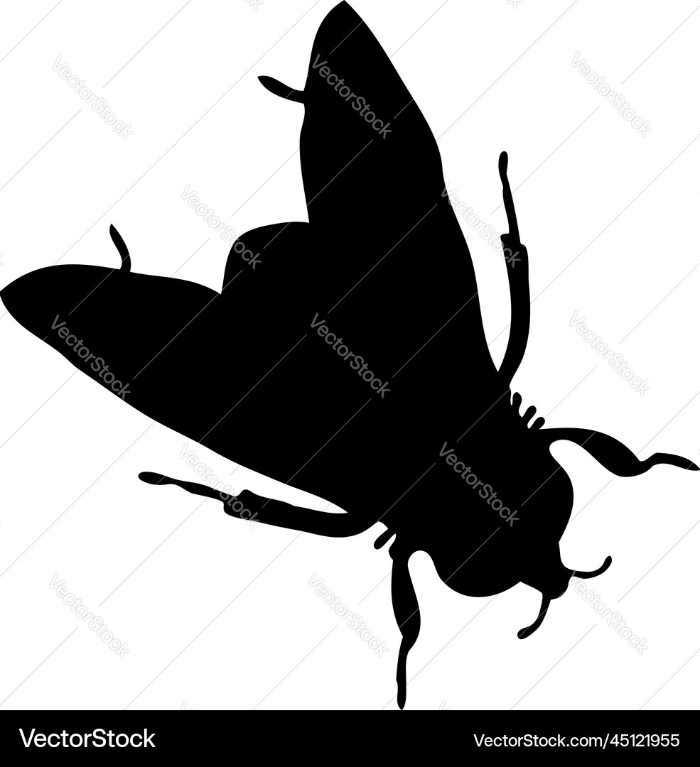 Fly silhouette Royalty Free Vector Image - VectorStock
